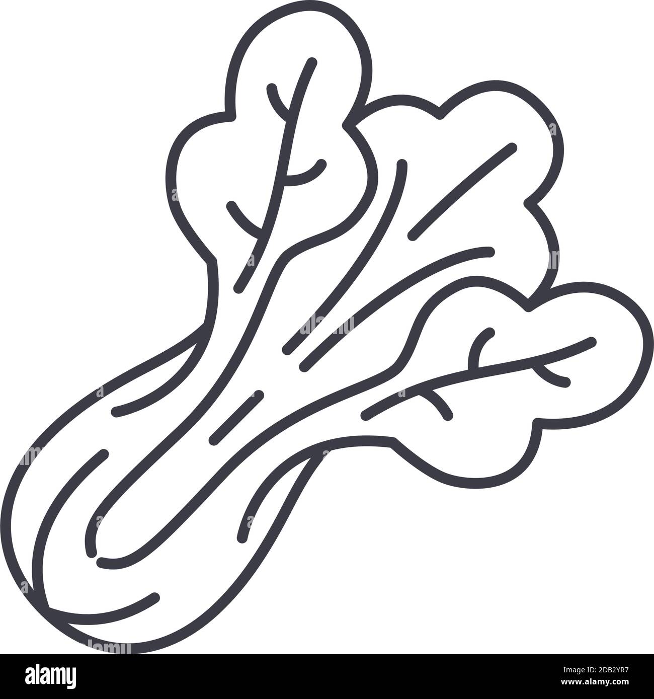Chinese cabbage icon, linear isolated illustration, thin line vector ...