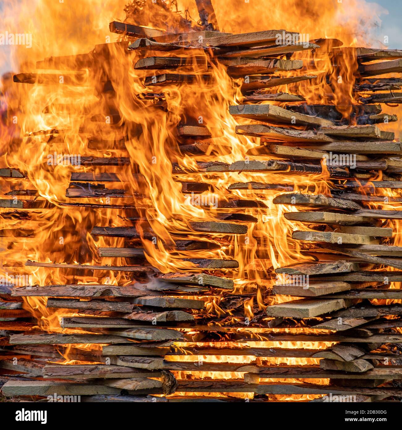 wooden boards burn with a large, flaming orange flame with traditional ...