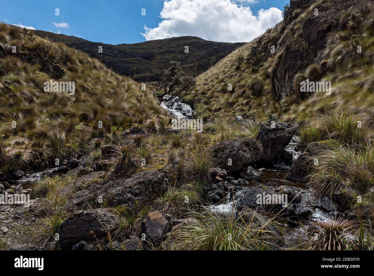 El Cajas National Park, Ecuador Stock Photo - Alamy