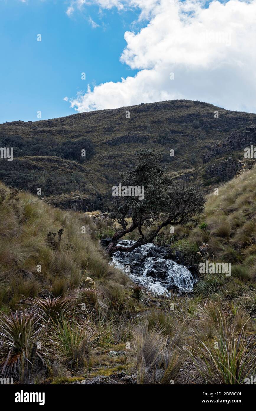 El Cajas National Park, Ecuador Stock Photo - Alamy