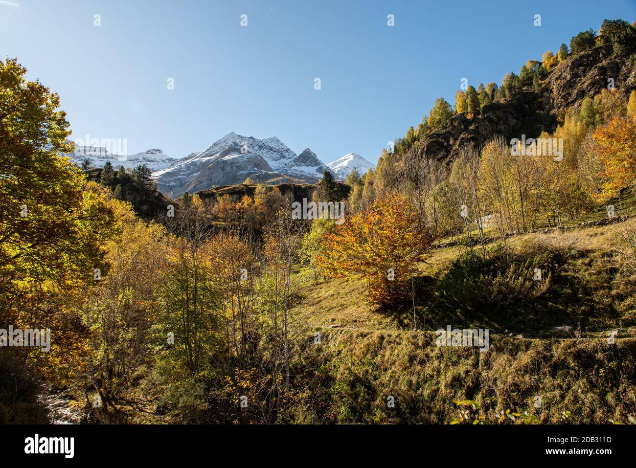 the color of autumn at the Pyrenees mountains Stock Photo - Alamy