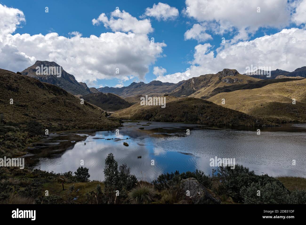 El Cajas National Park, Ecuador Stock Photo - Alamy