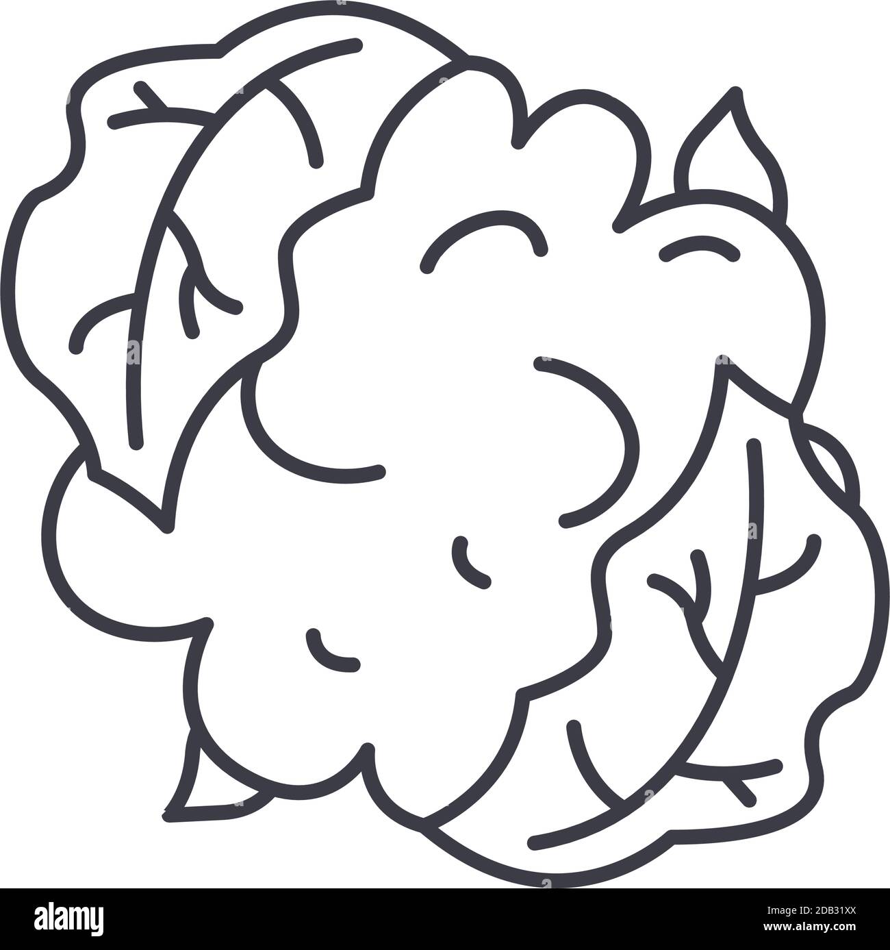 Cauliflower Line Drawing