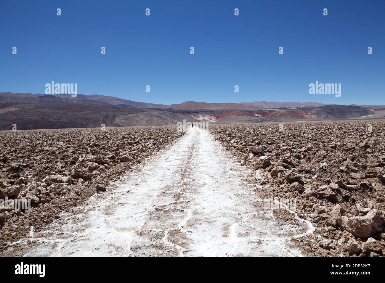 Man is walking along the trail at the salt pan at the flat Salar of ...