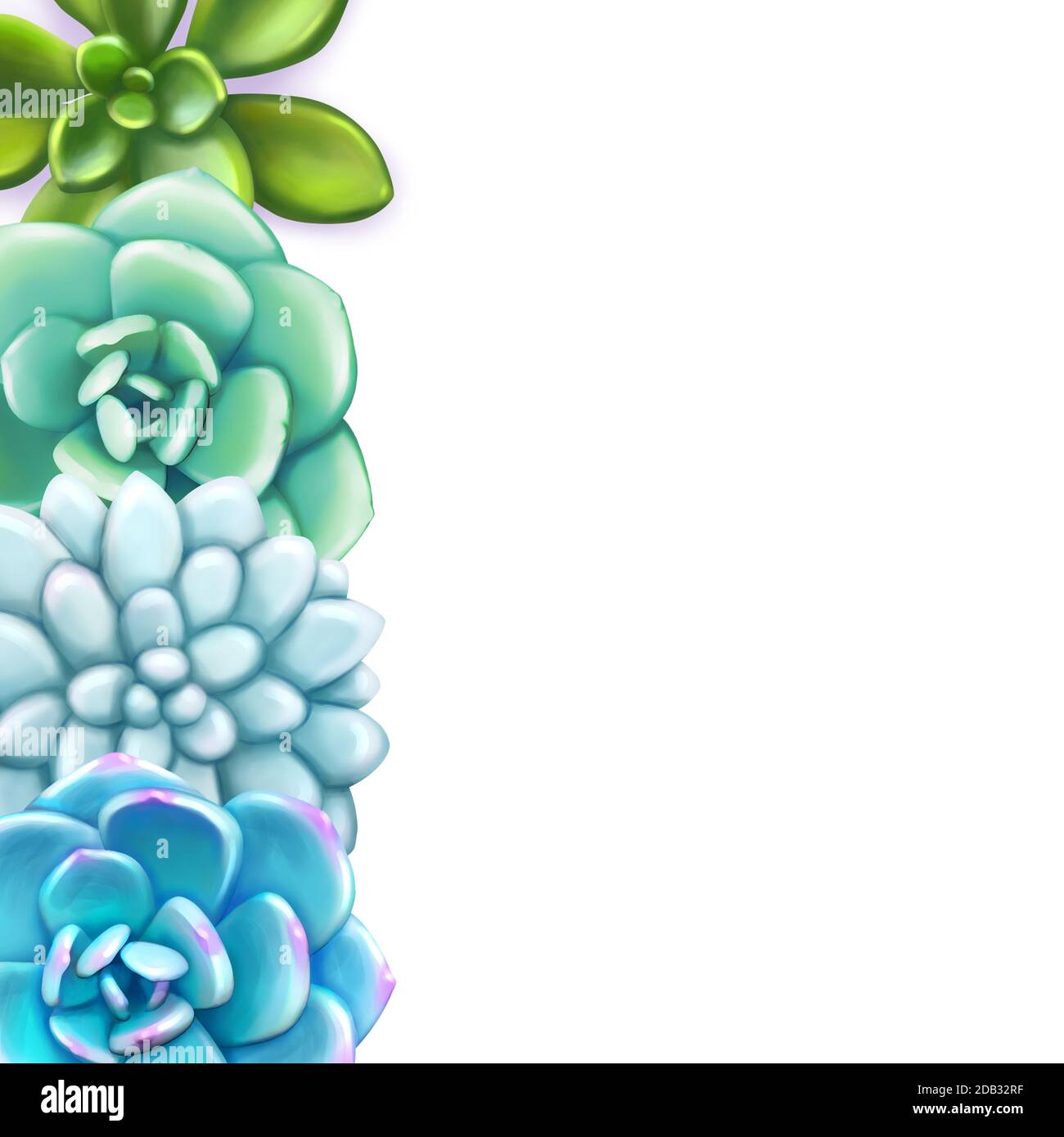 Floral Border. Succulents arranged un a shape of frame Stock Photo - Alamy