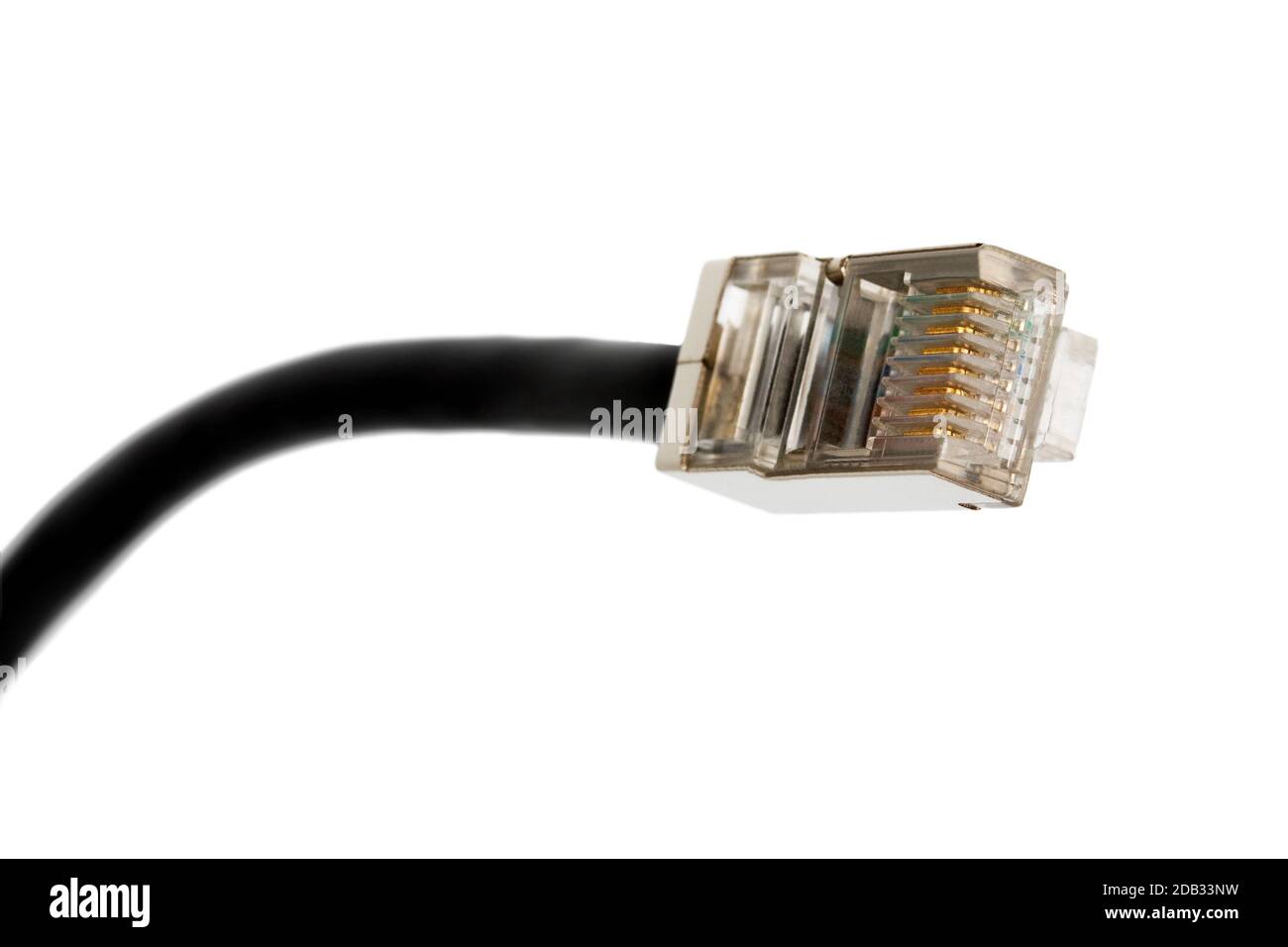 Network cables with rj45 close-up isolated on white background Stock ...