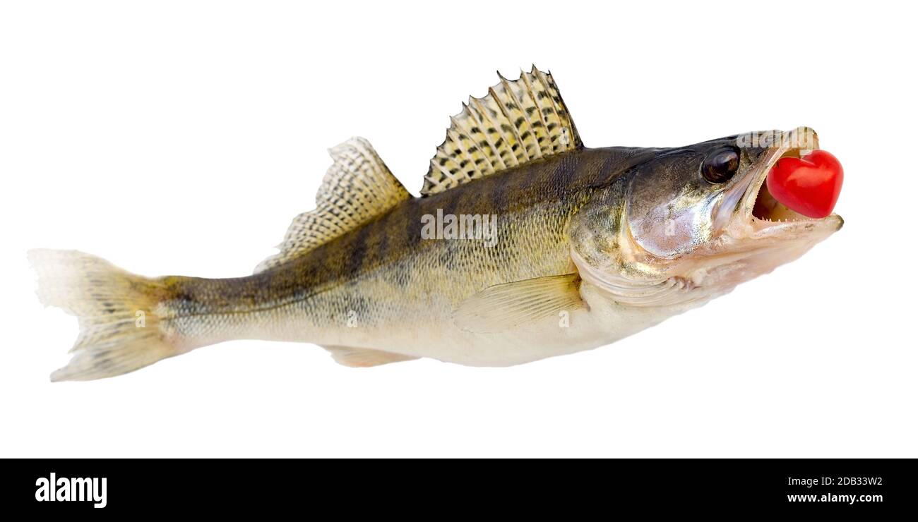 Jumping on lake Cut Out Stock Images & Pictures - Alamy