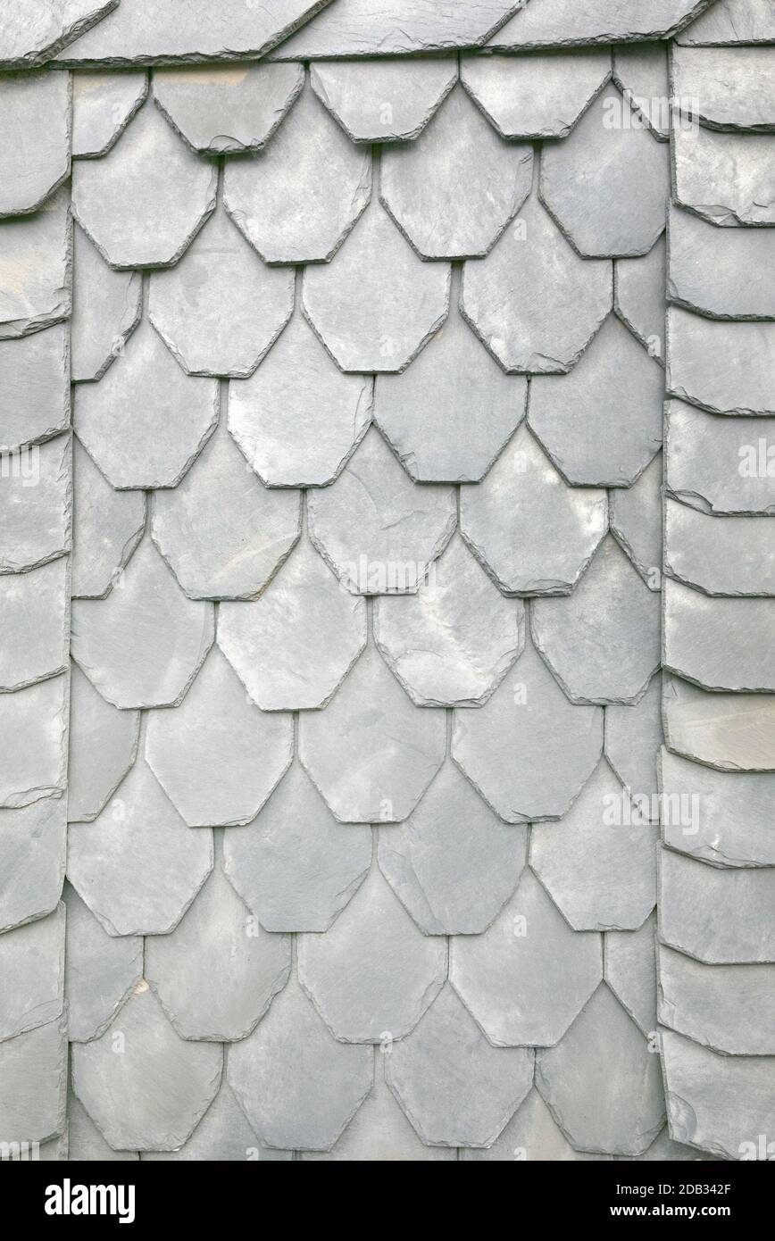 Slate tiles on a typical home in Thuringia, Germany, as background ...