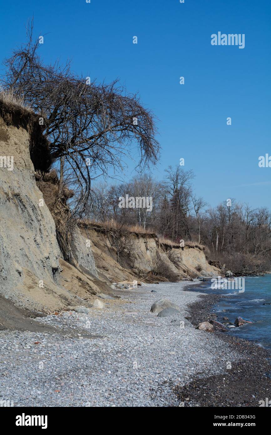 Trees teeter on the edge of a bluff after soil has been eroded by the ...