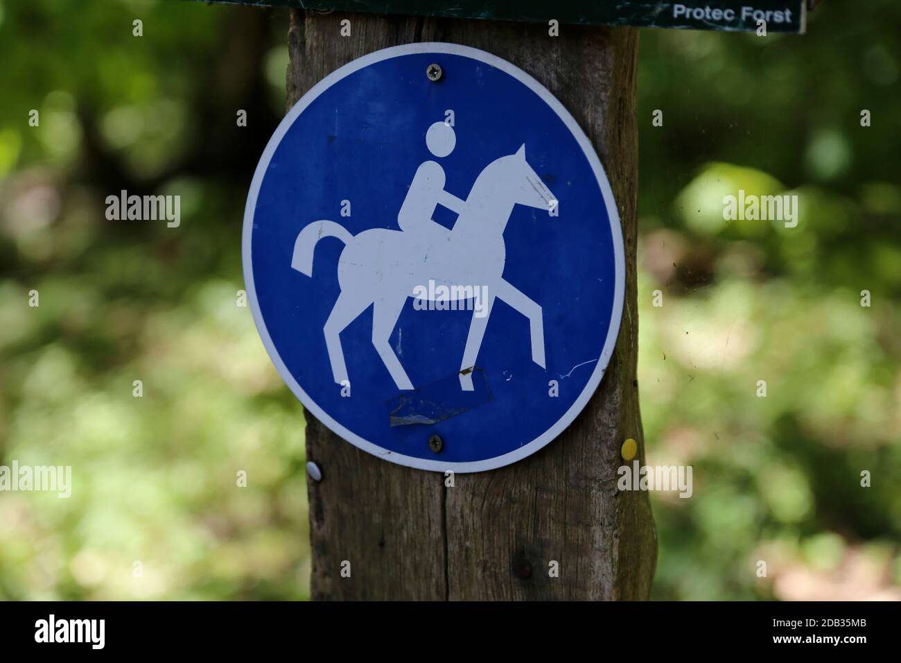 Blue Road sign for bridle path Stock Photo - Alamy