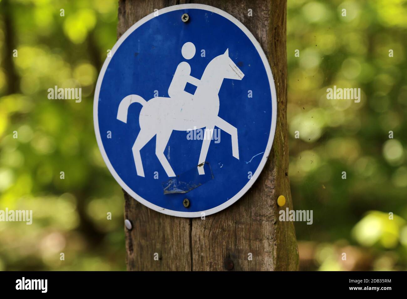 Blue Road sign for bridle path Stock Photo - Alamy