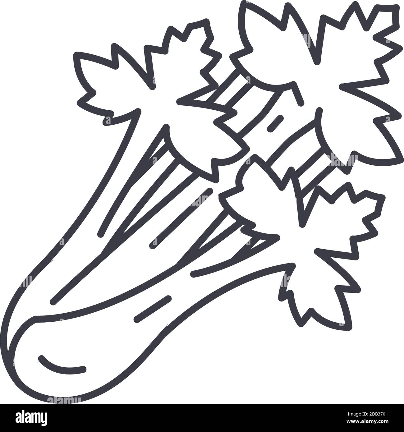 Celery icon, linear isolated illustration, thin line vector, web design ...