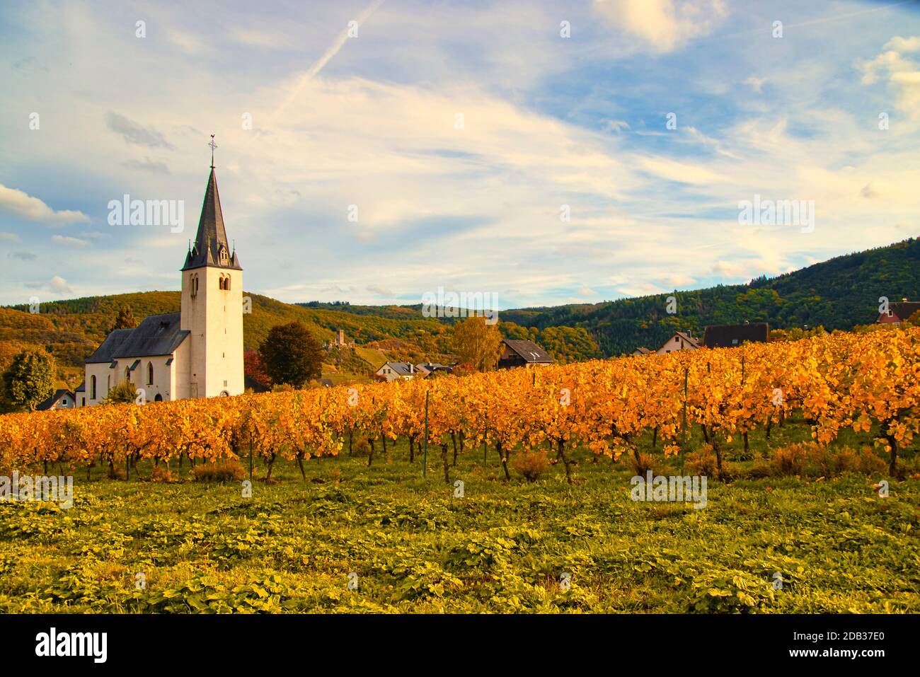 Wine landscape near Cochem and Leiwen on the Moselle Stock Photo - Alamy