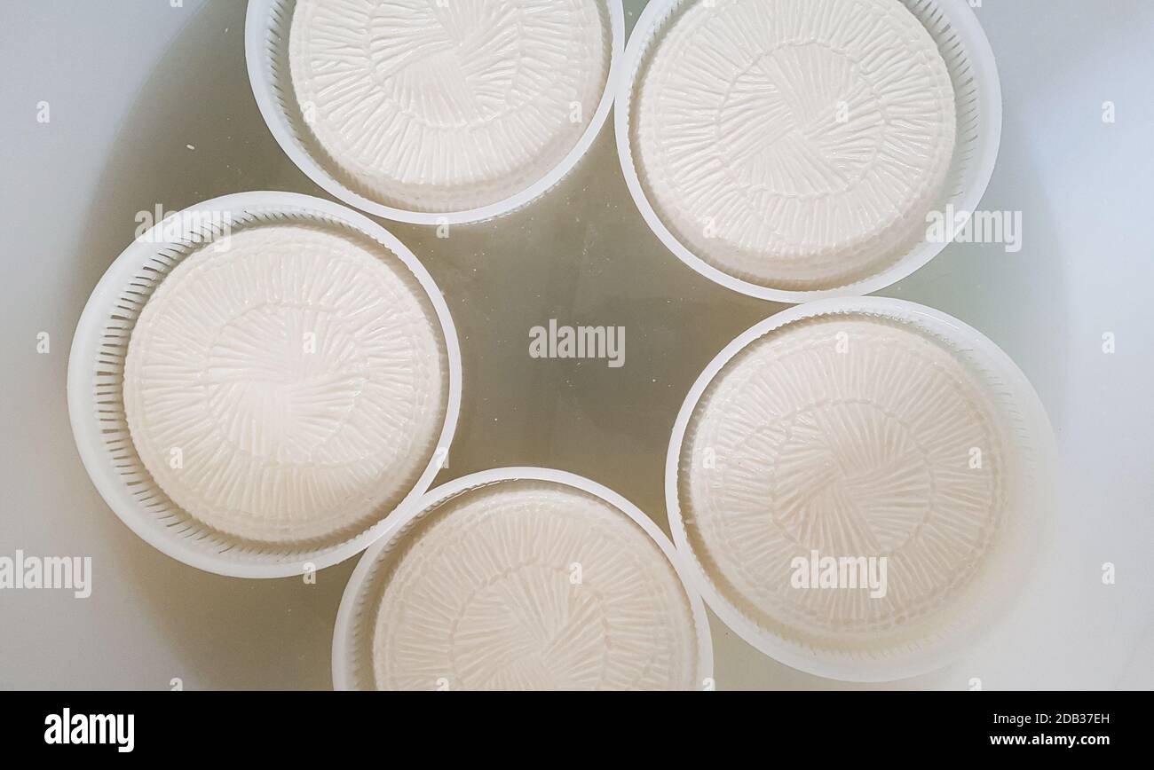 Fresh made italian cheese ricotta in a salt water bath top view Stock ...