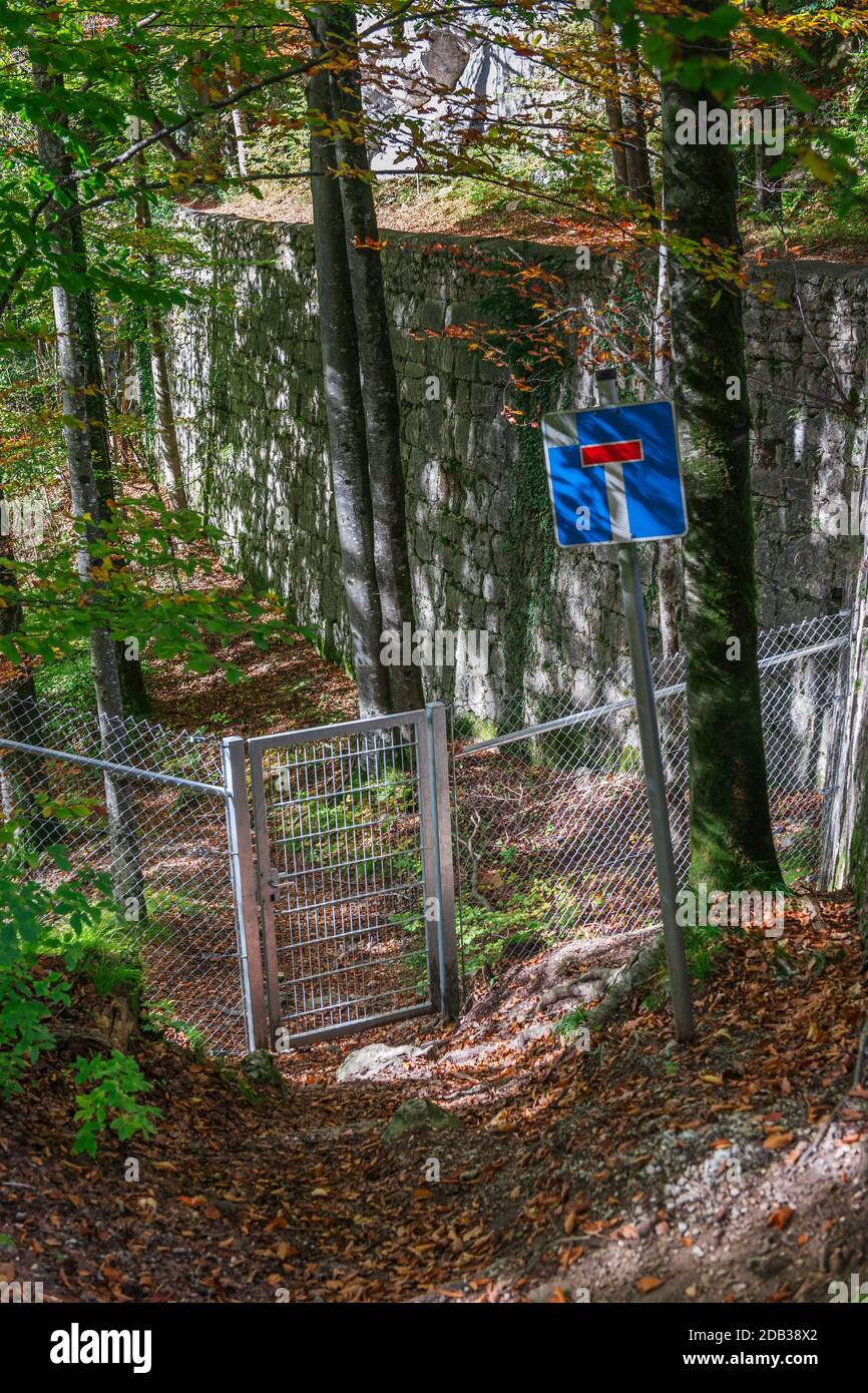 Landscape view in the forest with fence, fence gate, wall and dead end ...
