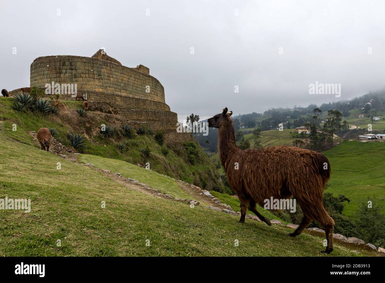 Ingapirca, temple of the sun, Ecuador Stock Photo - Alamy