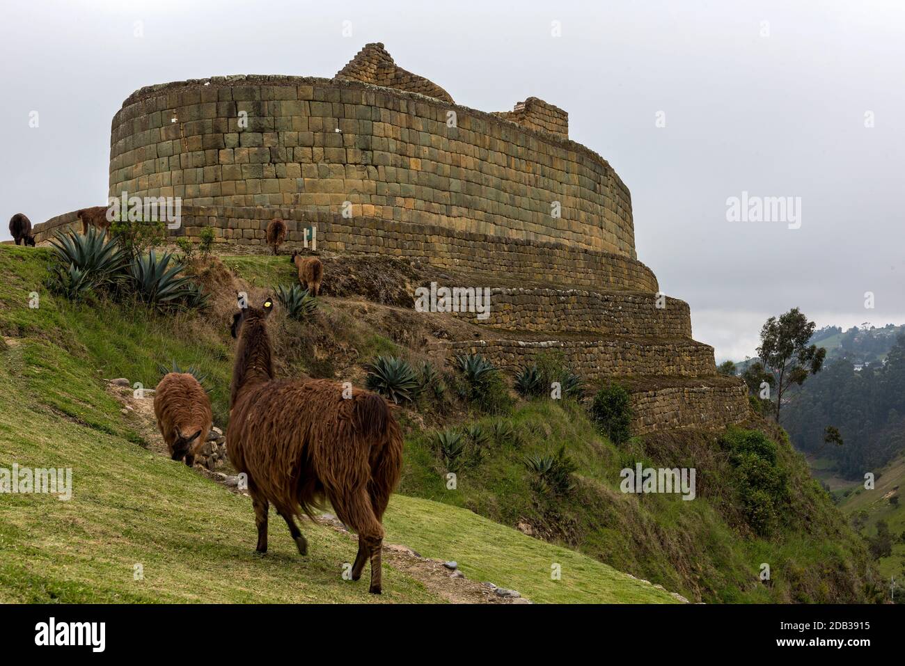 Ingapirca, temple of the sun, Ecuador Stock Photo - Alamy