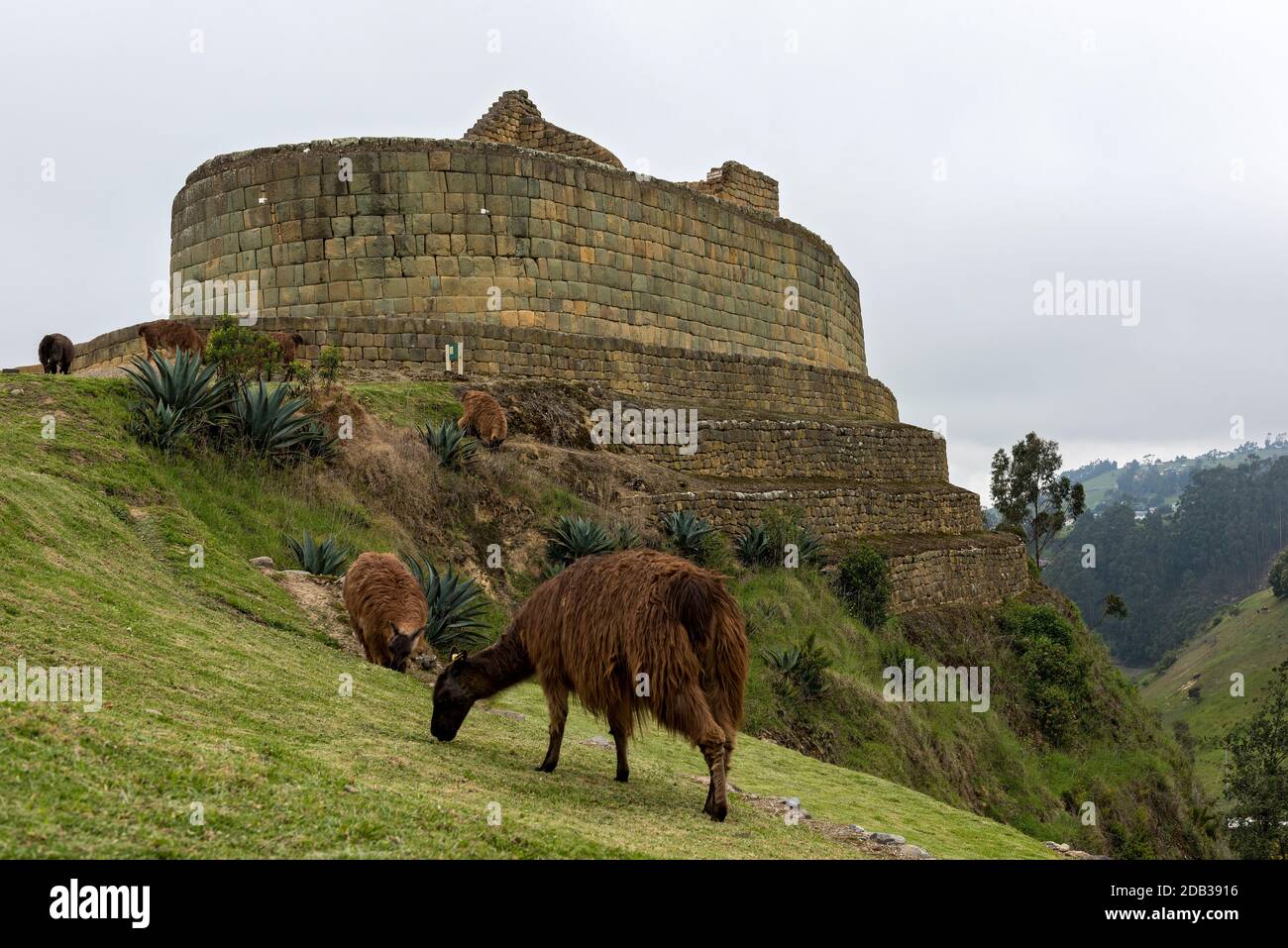 Ingapirca, temple of the sun, Ecuador Stock Photo - Alamy