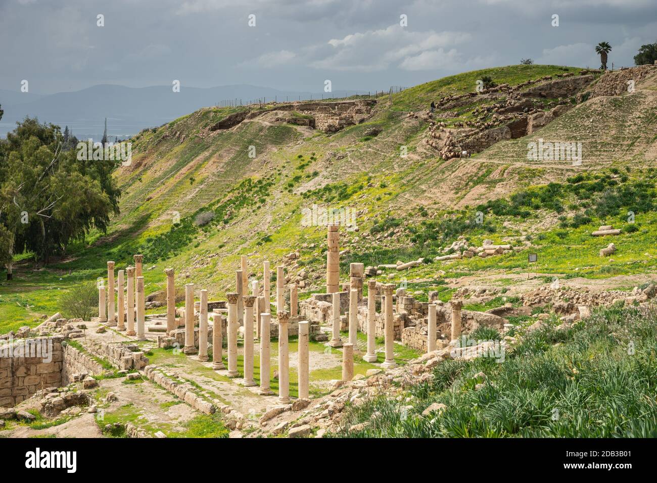 Decapolis City of Pella, Tabqet Fahel, Jordan Stock Photo - Alamy