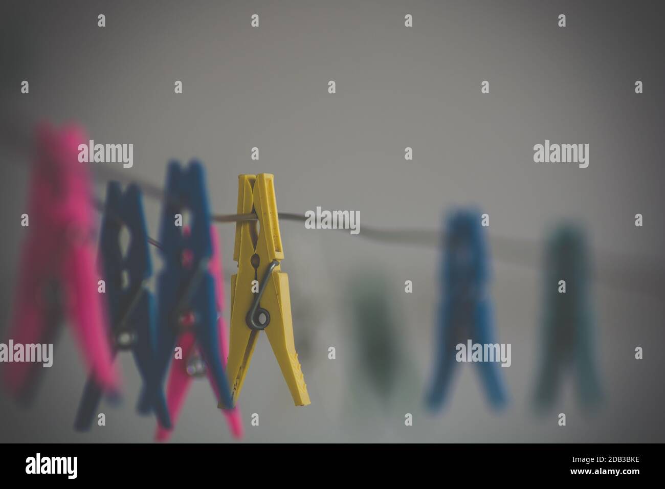 Many pegs for laundry bundled together with the yellow peg on focus ...