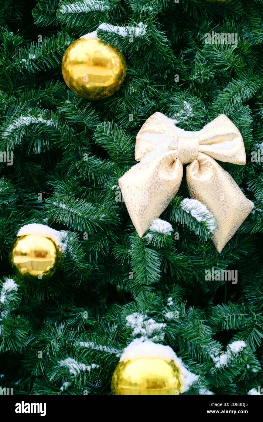 Green christmas tree with snow beige bow and golden big balls Stock ...