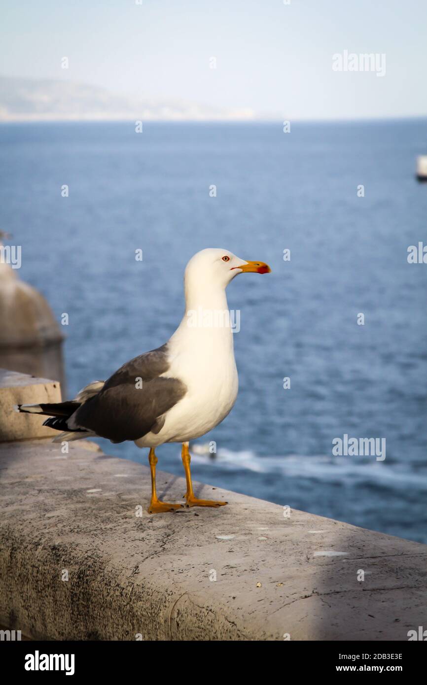 Parapet Rock High Resolution Stock Photography and Images - Alamy