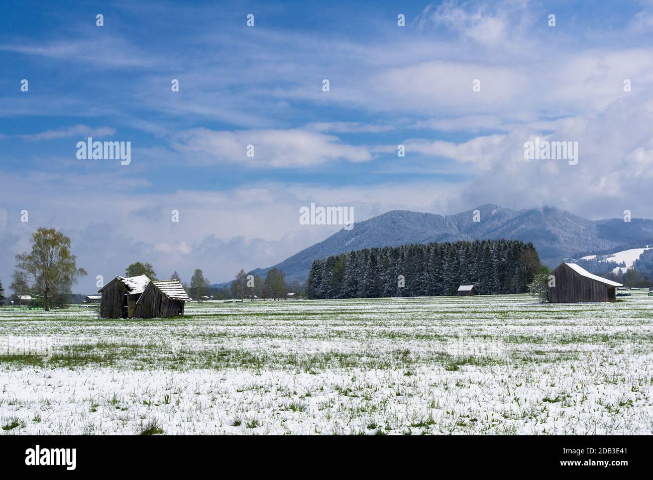Spring landscape trees mountains hi-res stock photography and images ...