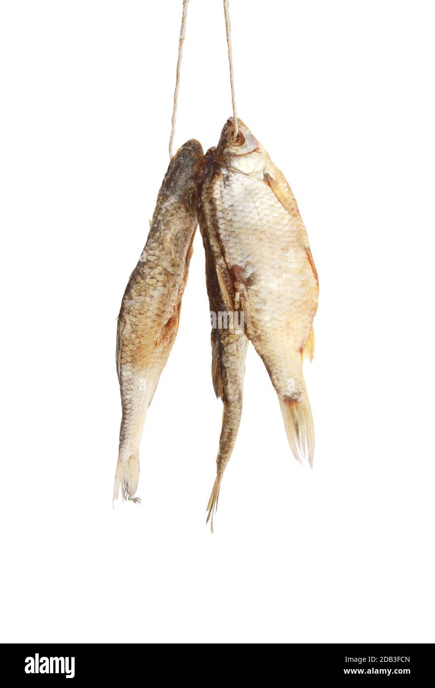 A vertical shot of dried fish hanging on white background Stock Photo ...