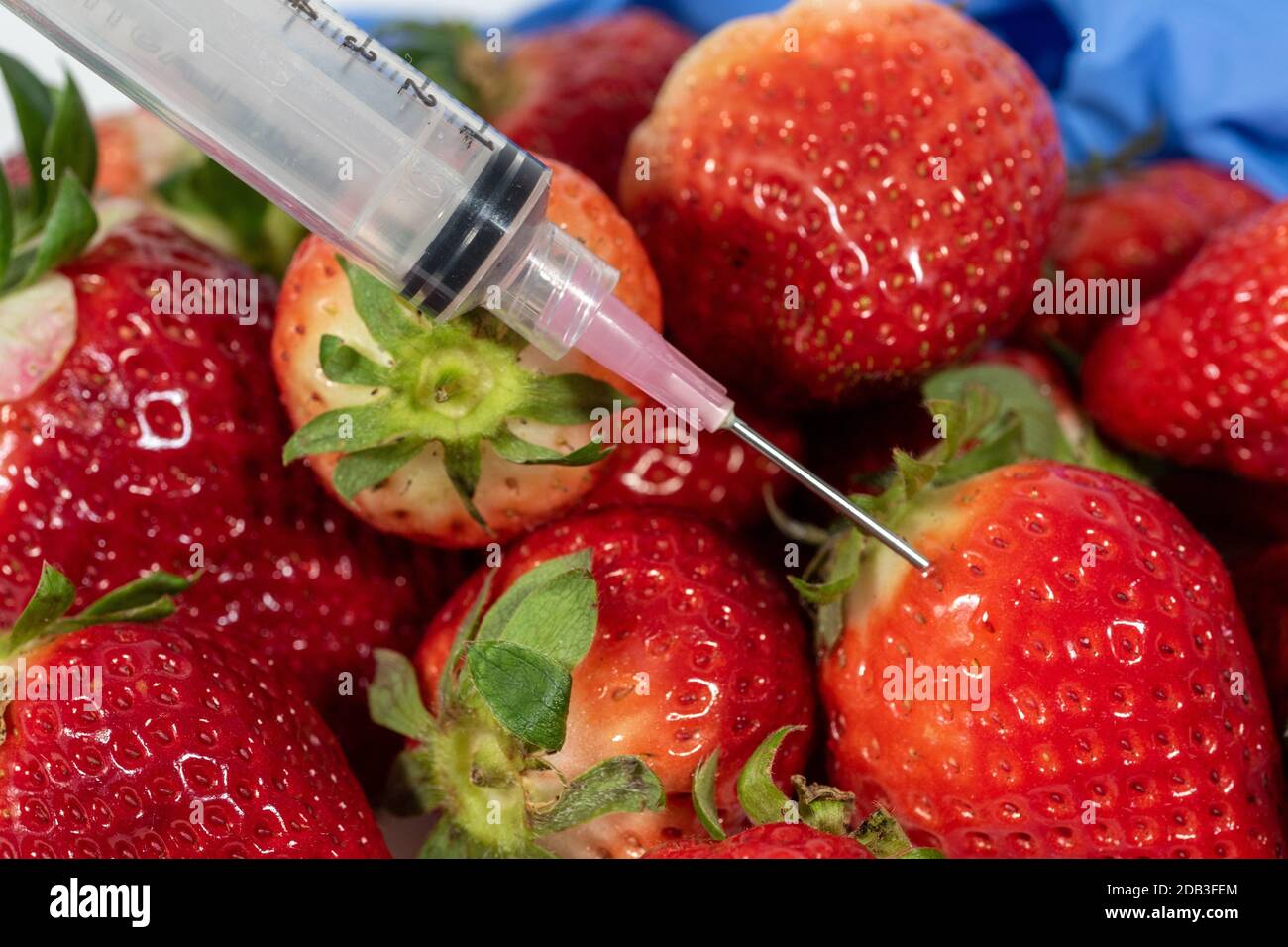 a genetic modification of fruits and vegetables Stock Photo - Alamy