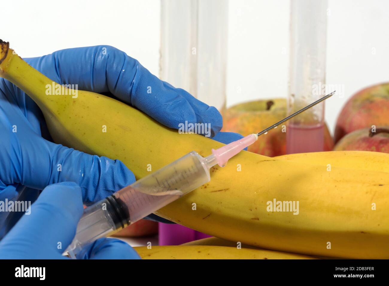 Genetic Engineering Vegetables