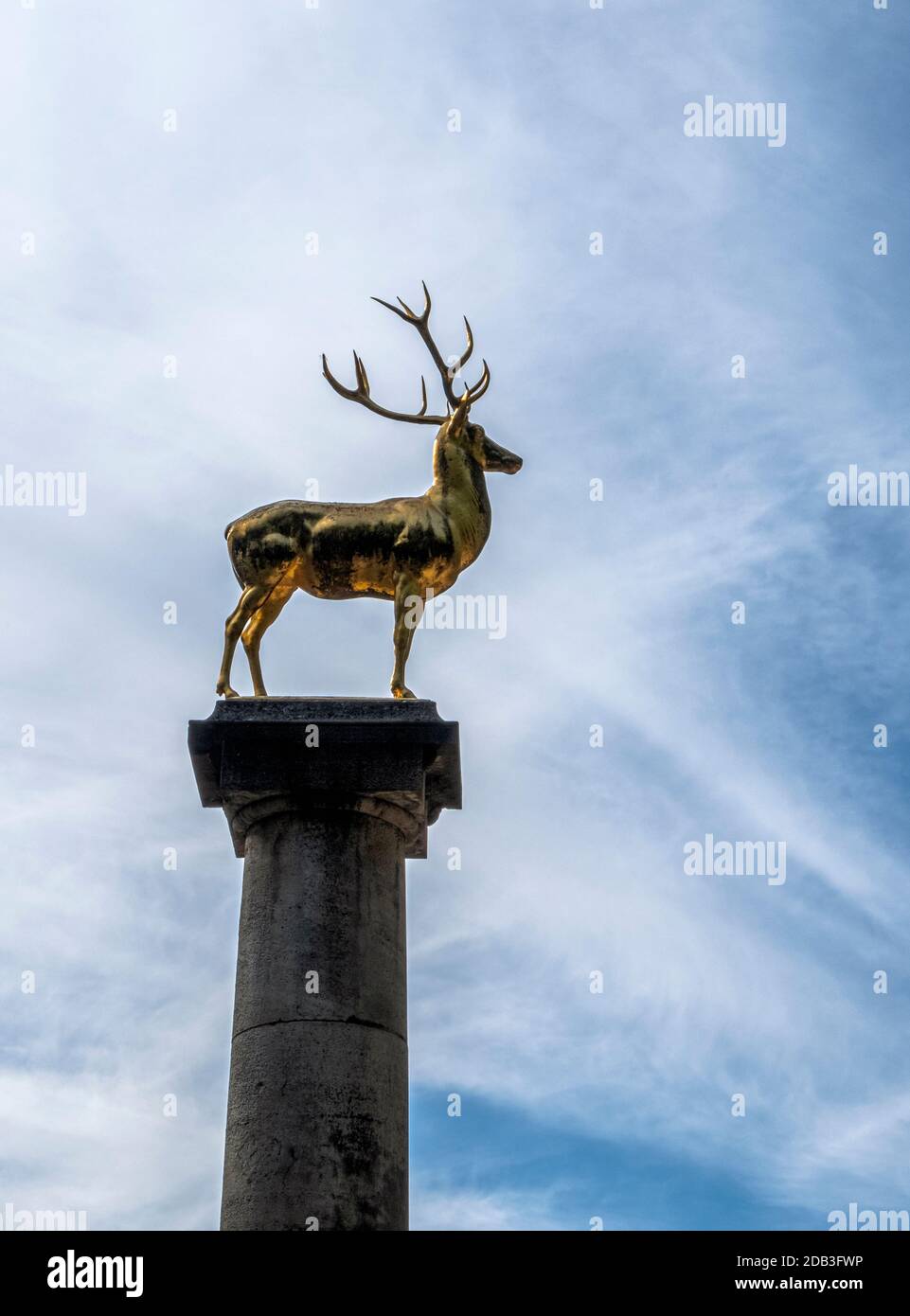 8 8 metre column heraldic animal of schoneberg hi-res stock photography ...