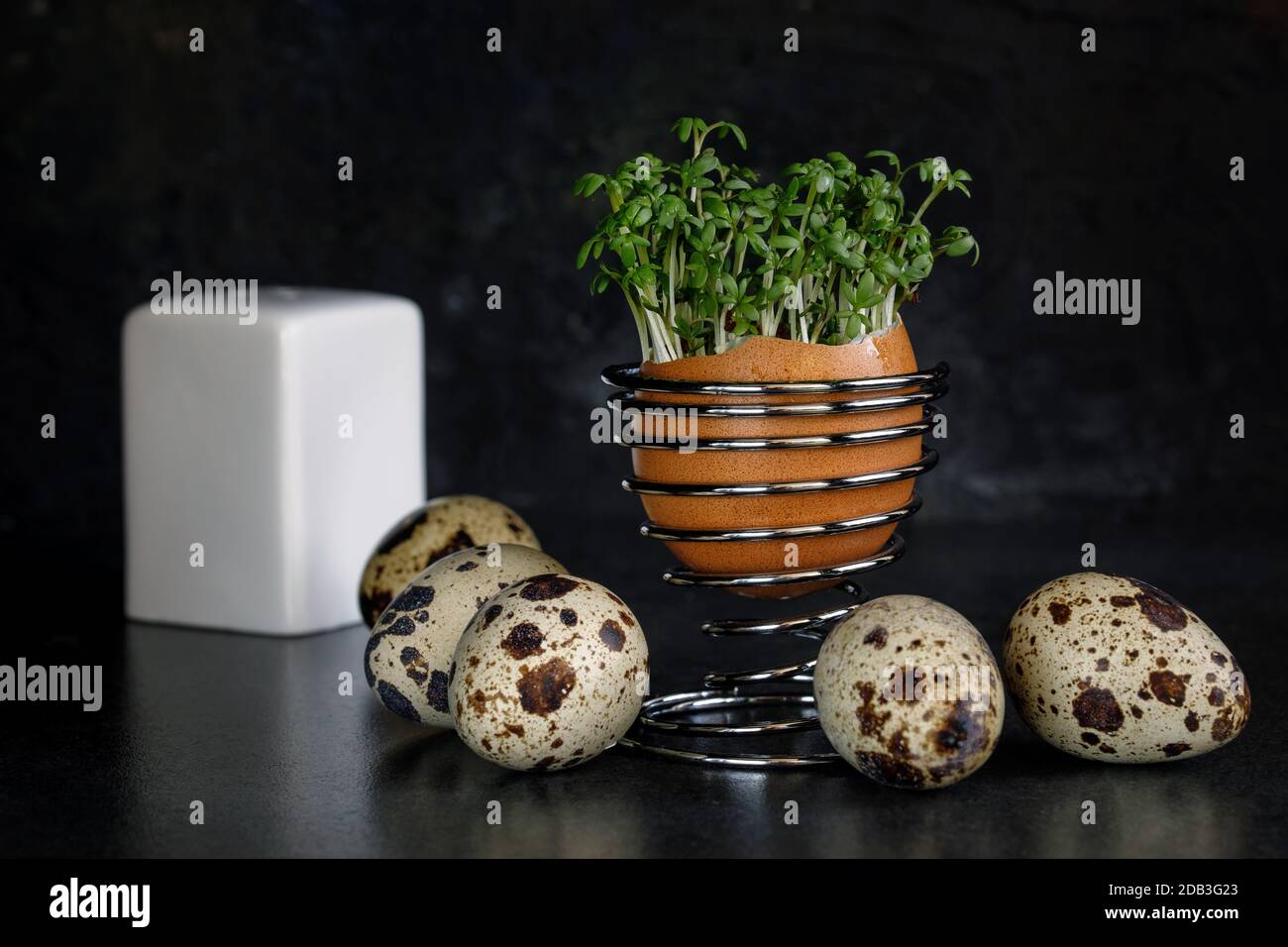 Egg cress shell hi-res stock photography and images - Alamy