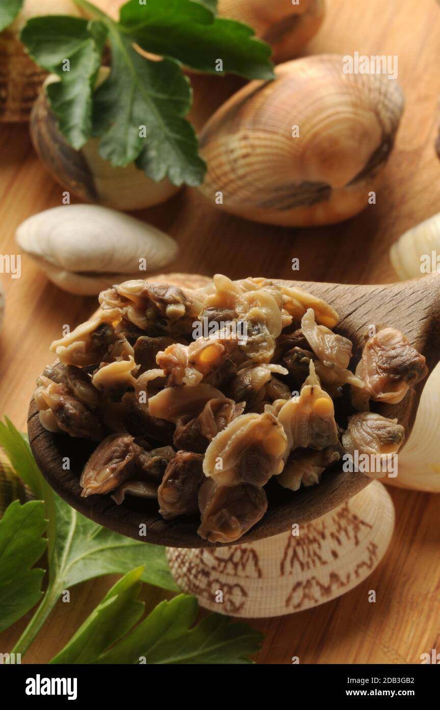 Clam seafood hi-res stock photography and images - Alamy