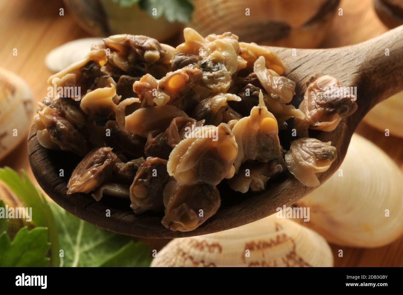 Clam seafood hi-res stock photography and images - Alamy