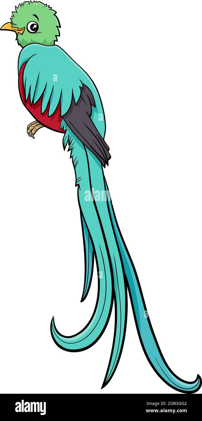 Cartoon illustration of quetzal bird animal character Stock Vector ...