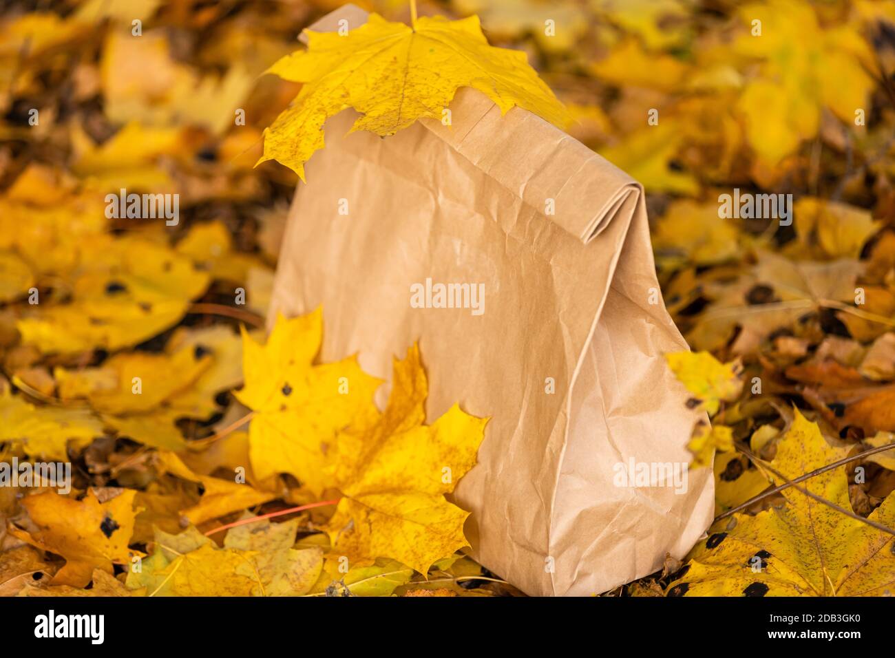 Online dog food delivery hi-res stock photography and images - Alamy