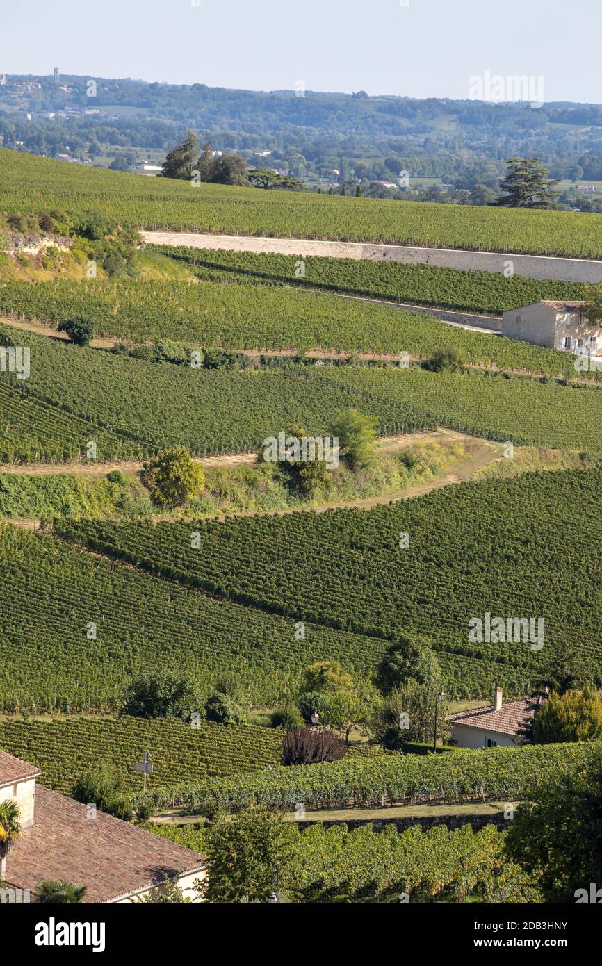 Famous French Vineyards at Saint Emilion town near Bordeaux, France. St ...