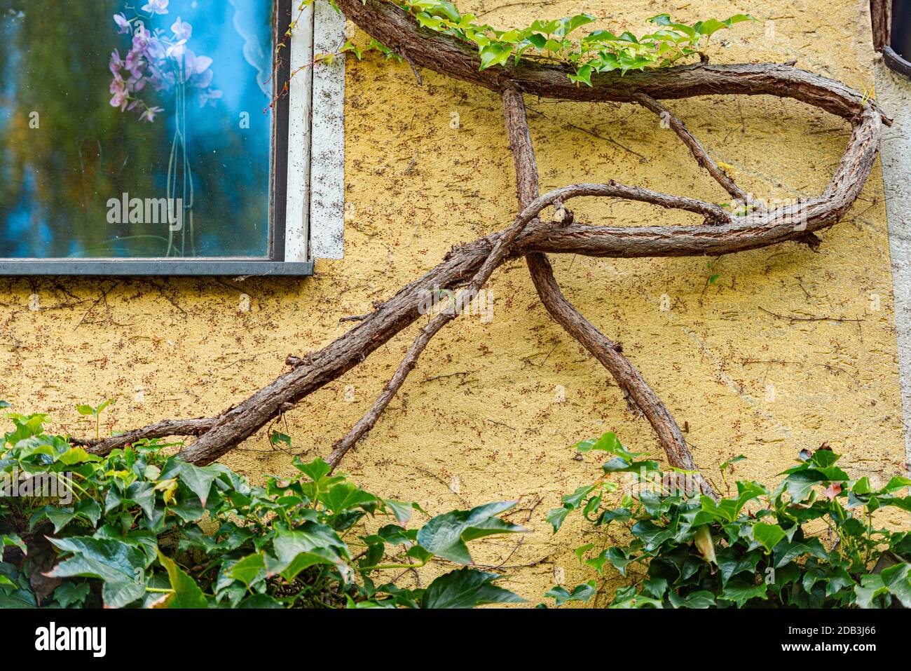 Details of traditional house in german style. Architecture of Germany ...