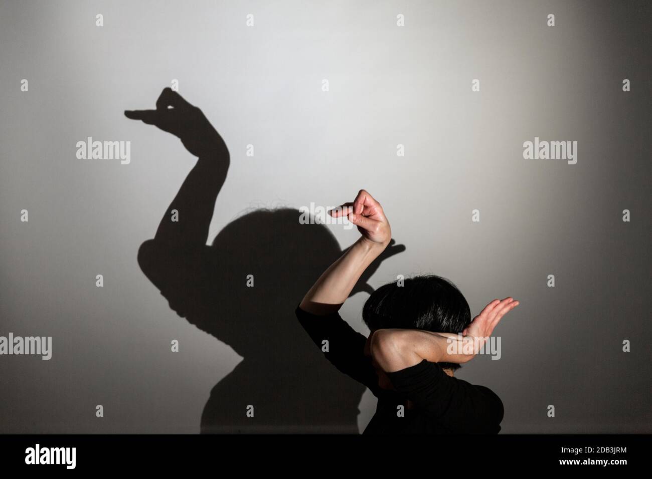 shadow play projected on a white screen. creates a form of swan or duck ...