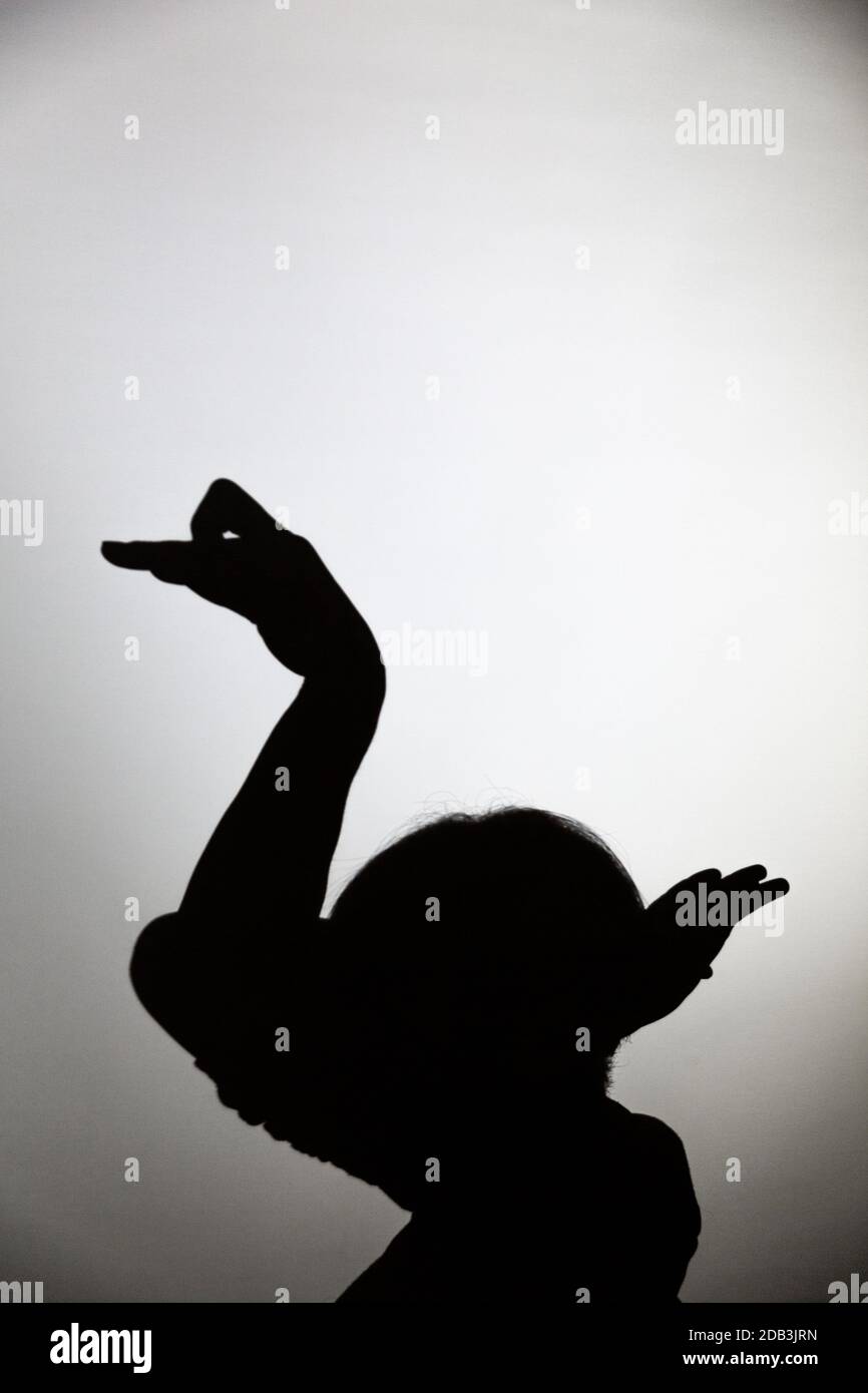 shadow play projected on a white screen. creates a form of swan or duck ...