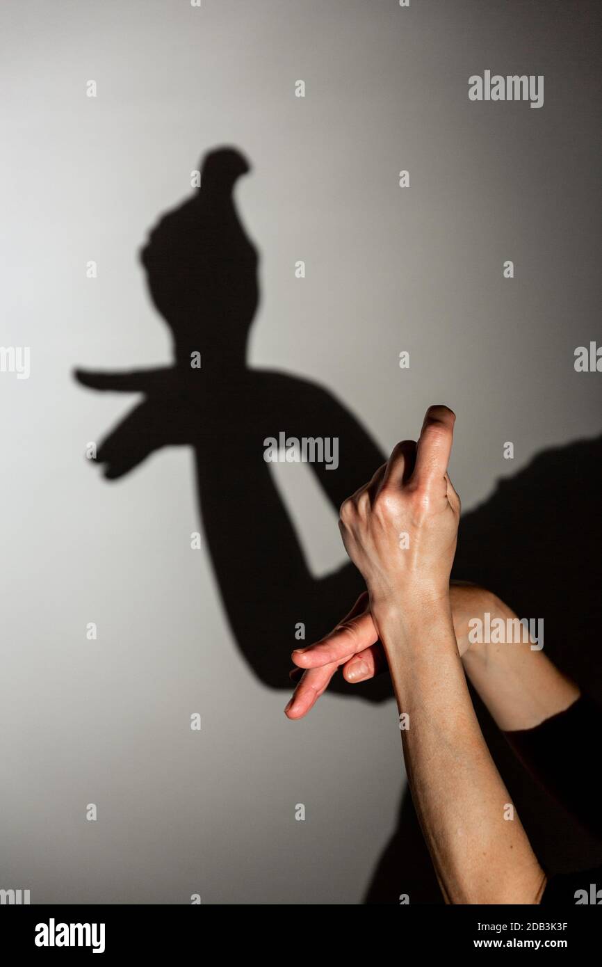 Shadow hands puppets hi-res stock photography and images - Alamy