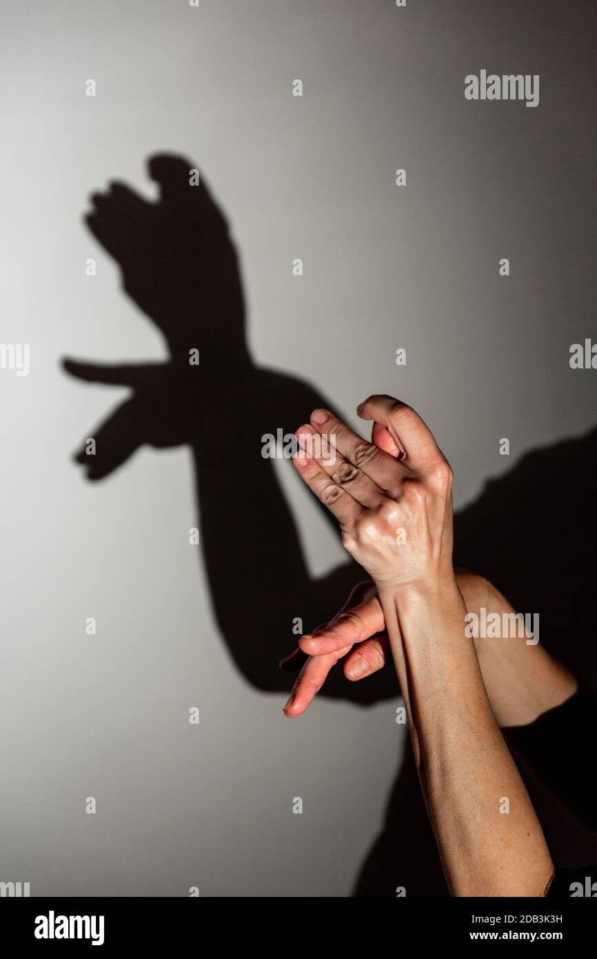 Hand shadow puppet bird hi-res stock photography and images - Alamy