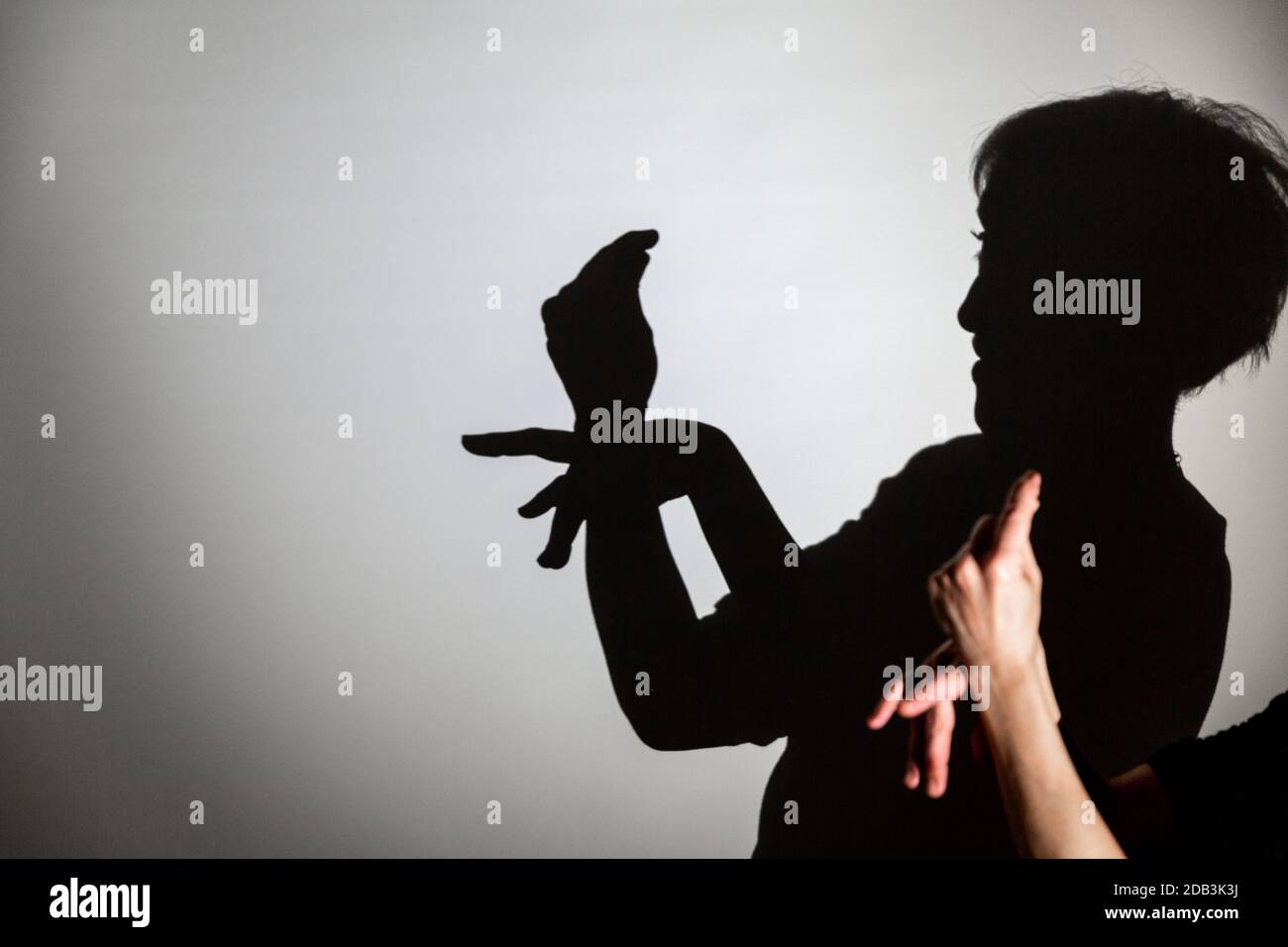 Shadow puppets hands hi-res stock photography and images - Alamy