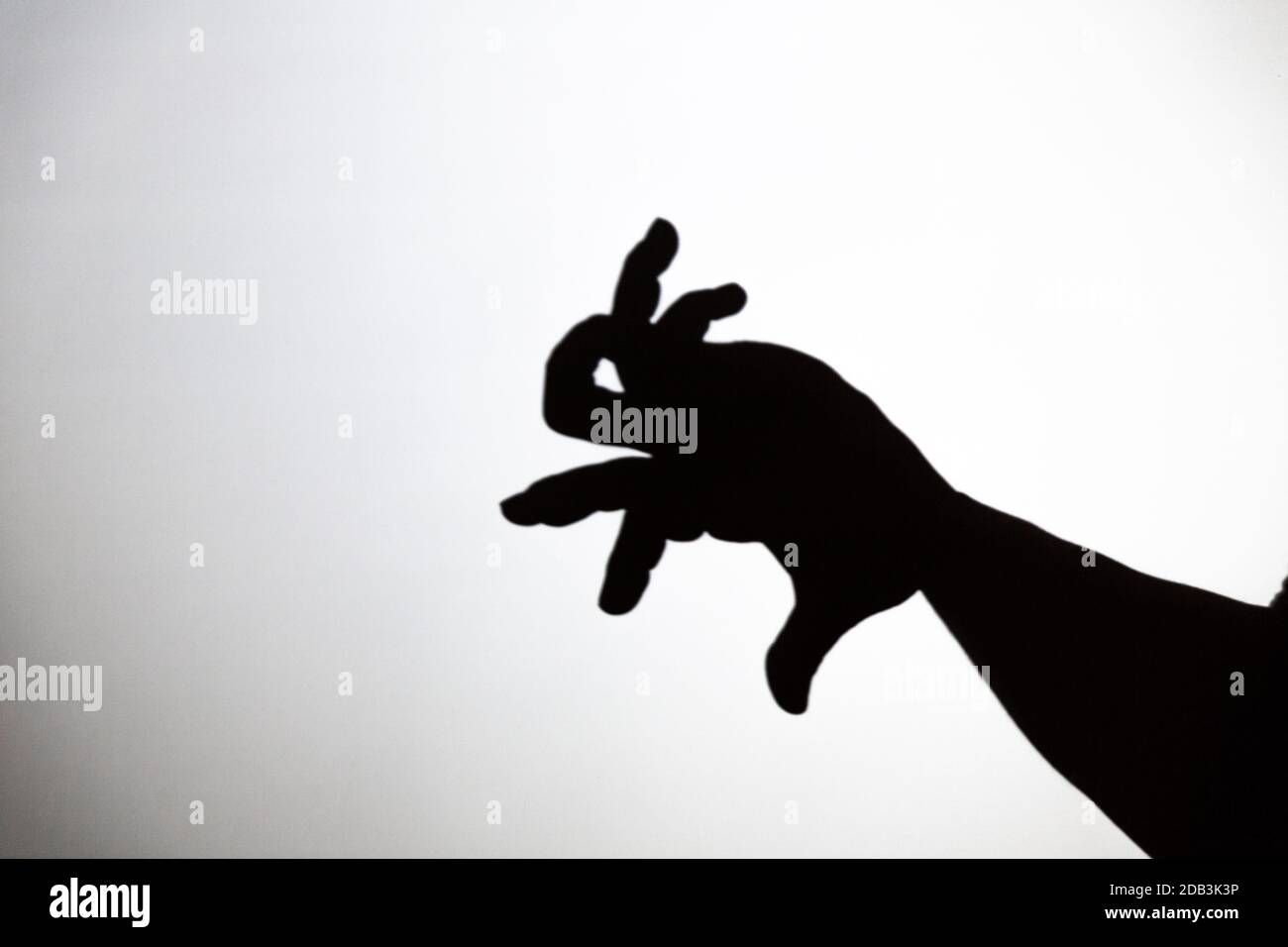 play shadow projected on a white screen. the person's hands shape a ...