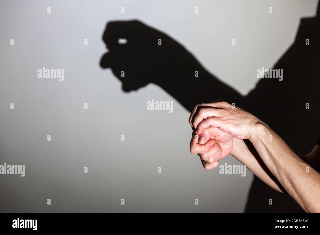 play shadow projected on a white screen. the hands of the person give ...
