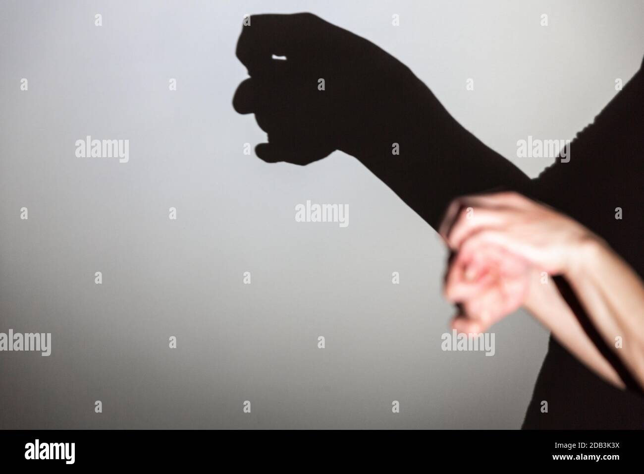 play shadow projected on a white screen. the hands of the person give ...