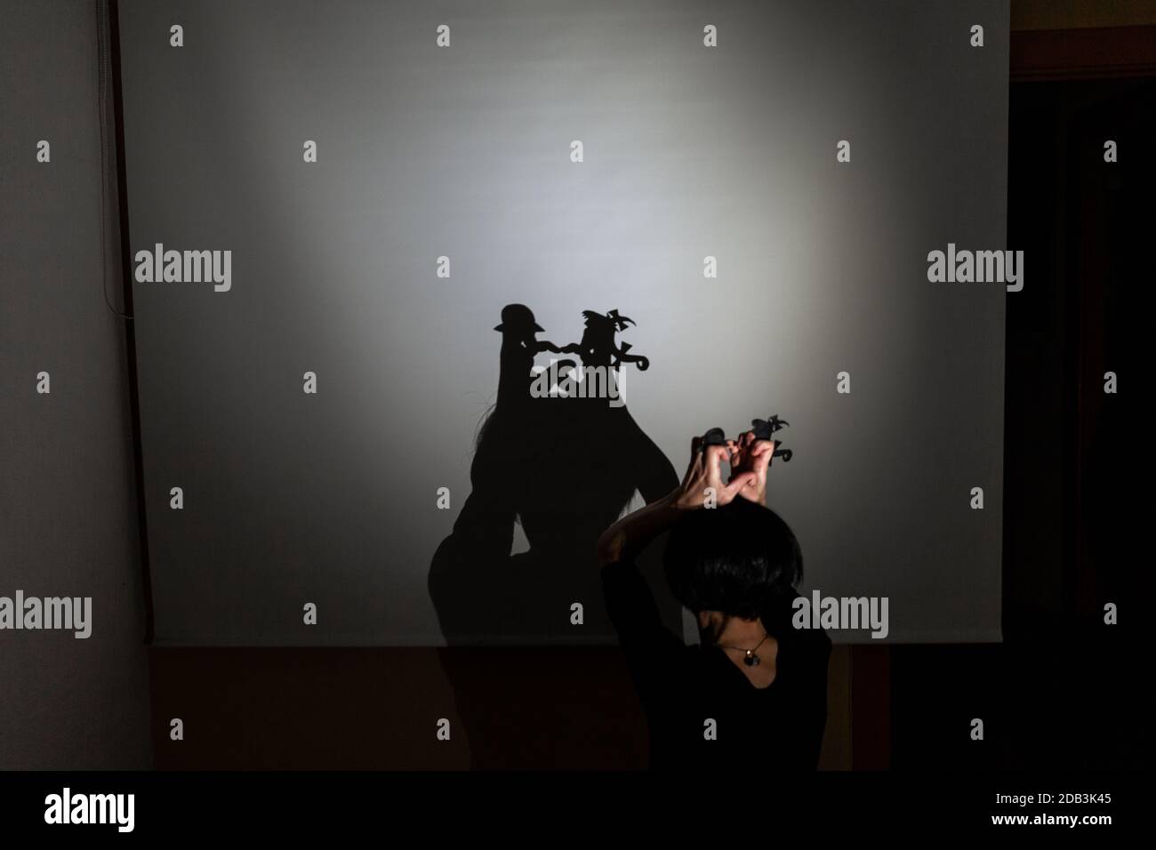 play shadow projected on a white screen. the person's hands shape two ...