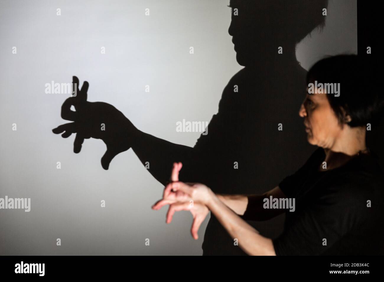 play shadow projected on a white screen. the person's hands shape a ...