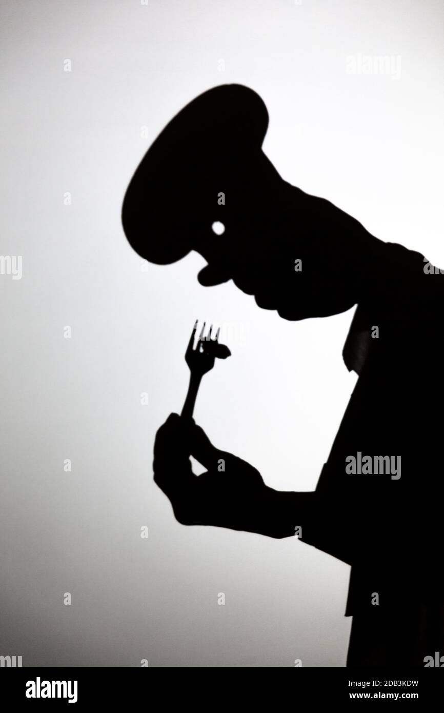 play shadow projected on a white screen. the person's hands shape a ...