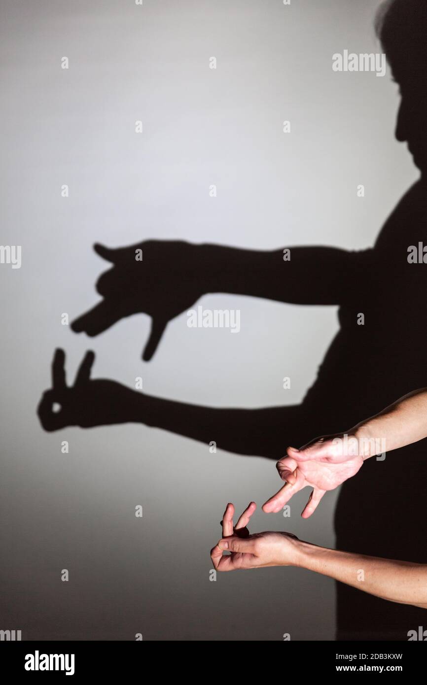 play shadow projected on a white screen. the person's hands shape a ...